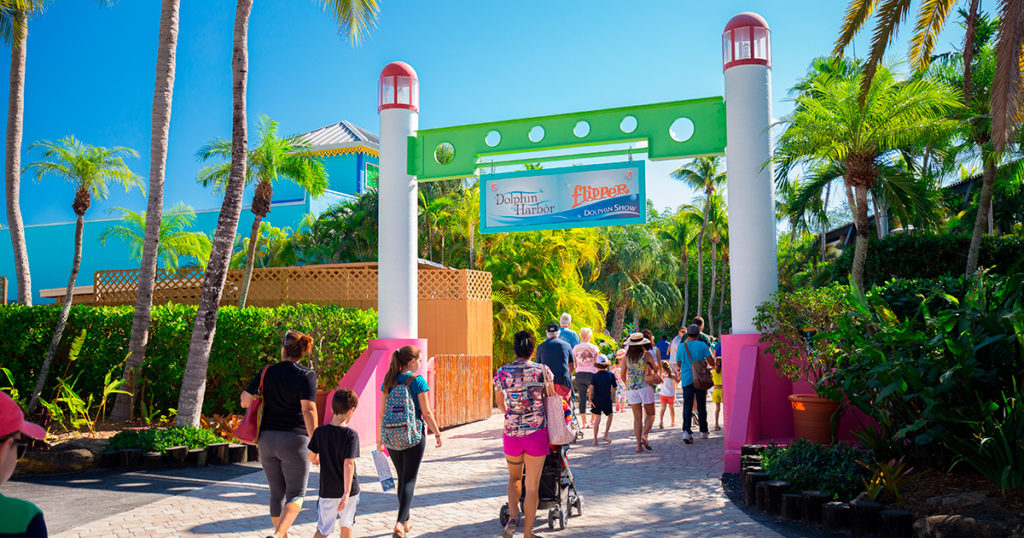 Cosas que hacer en miami foto - Blackdragontours.com