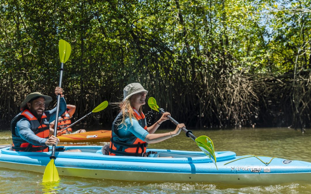 Kayak at mangrove Boca Chica, Gamez island, Gulf of Chiriqui, Panamá ...